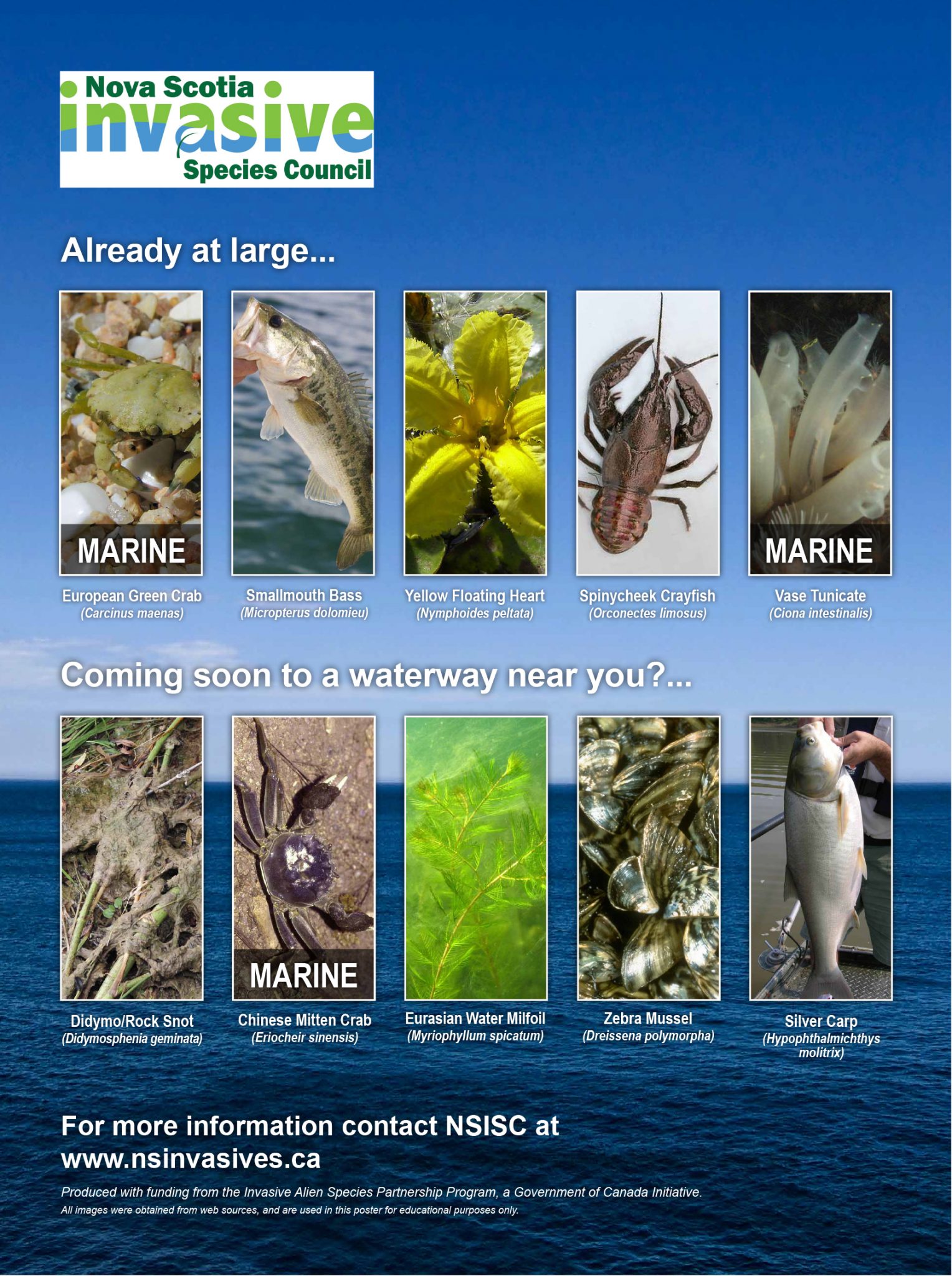 Clean Drain Dry - NS Invasive Species Council