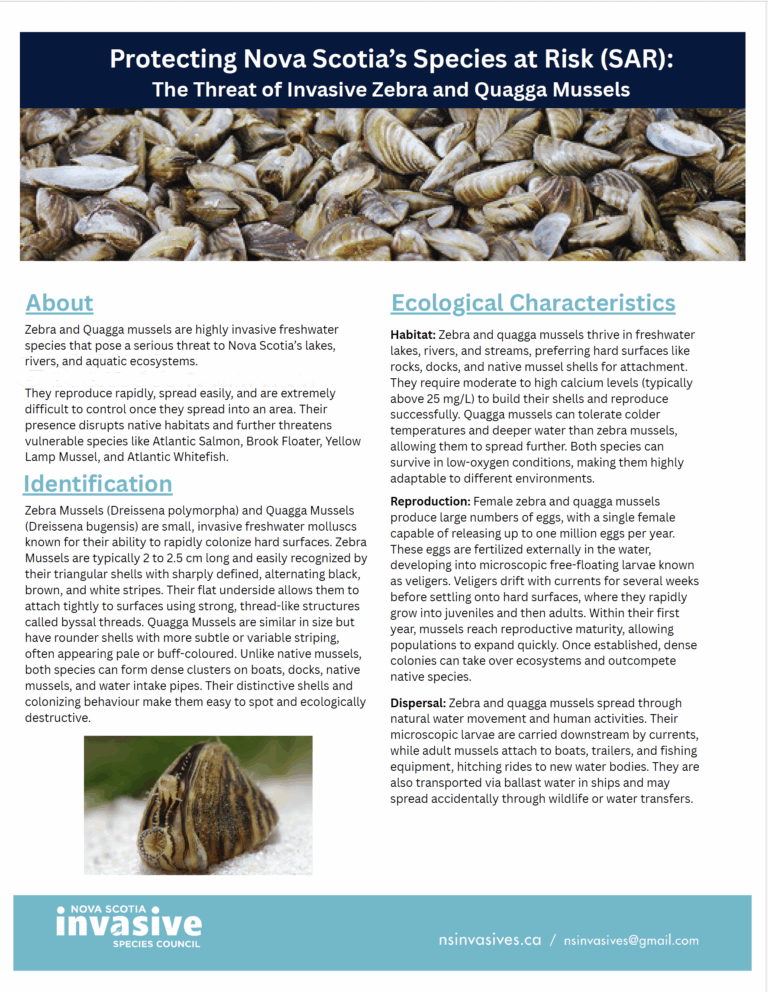 Zebra Mussels - NS Invasive Species Council